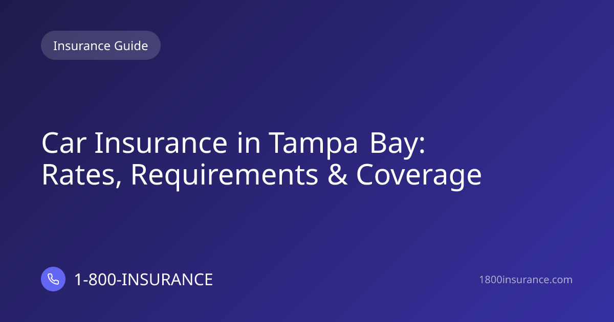 Car Insurance in Tampa Bay: Rates, Requirements & Coverage